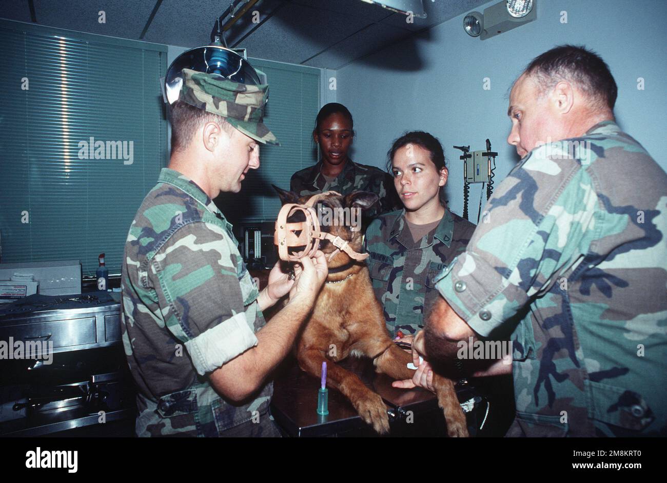 Military detachment veterinary service hi-res stock photography and ...