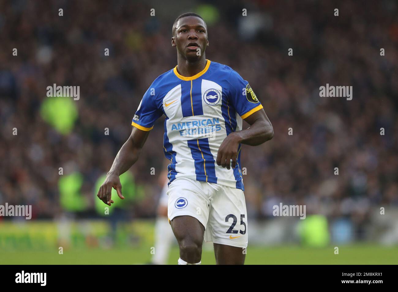 Moisés Caicedo in action for Brighton & Hove Albion at the AMEX Stadium ...