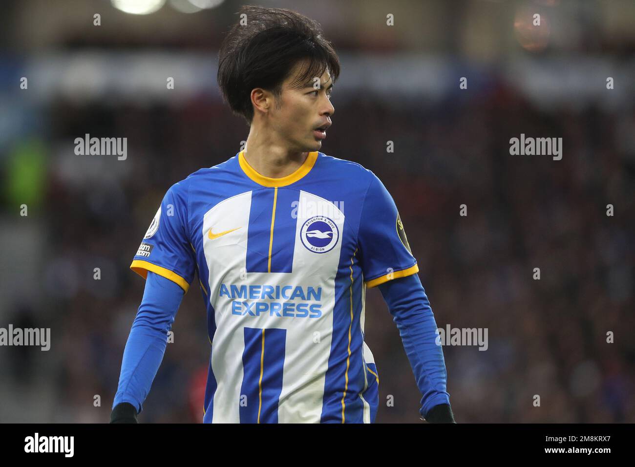 Kaoru Mitoma in action for Brighton & Hove Albion at the AMEX Stadium ...