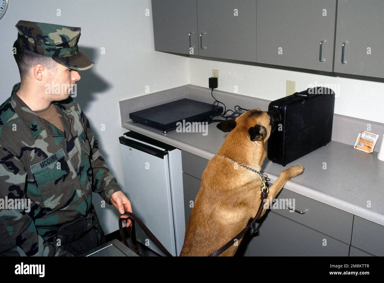 Machinist Mate Second Class (MA2) John McGuire and military working dog ...