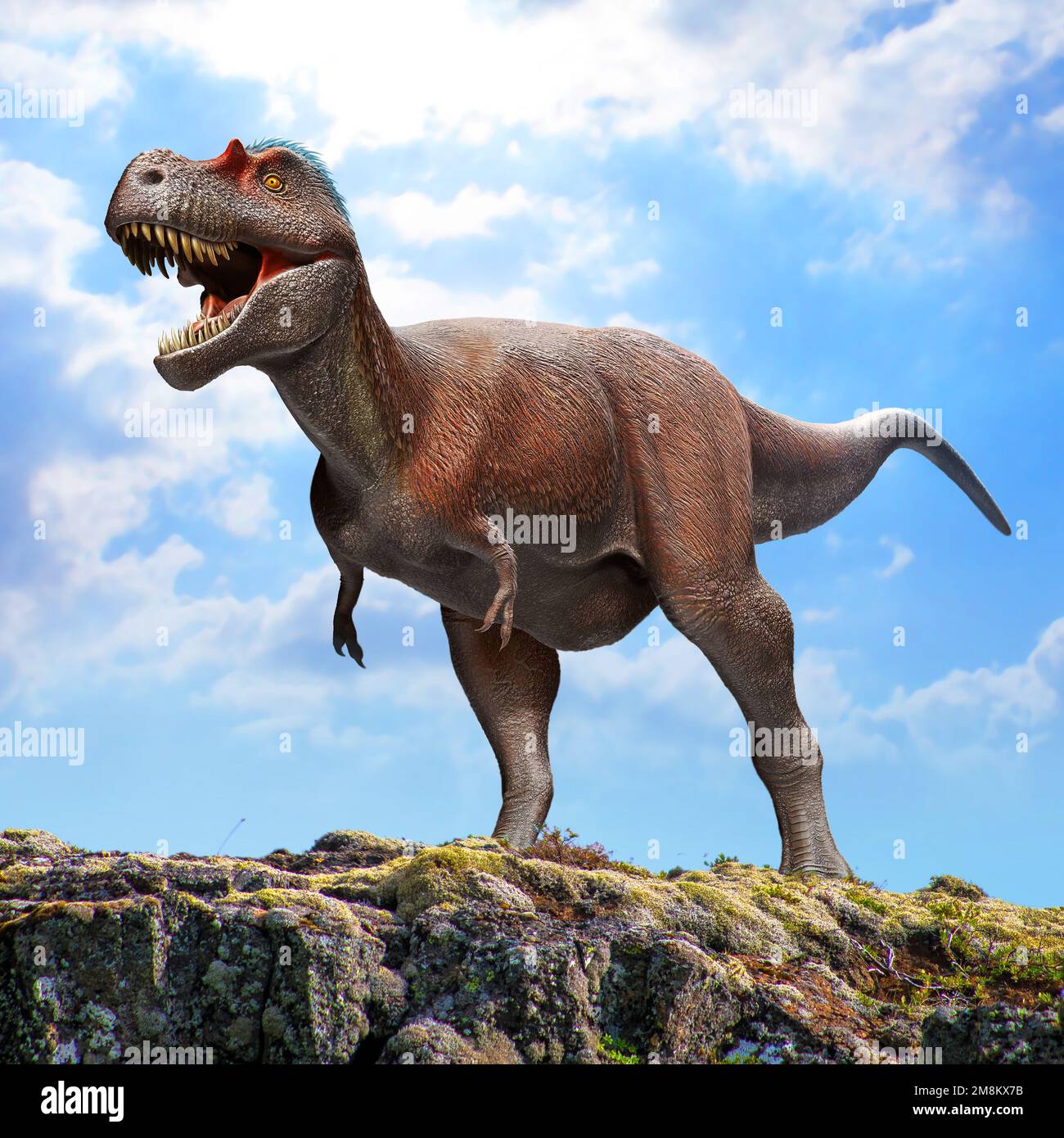 Albertosaurus sarcophagus Stands On A Rock Stock Photo - Alamy