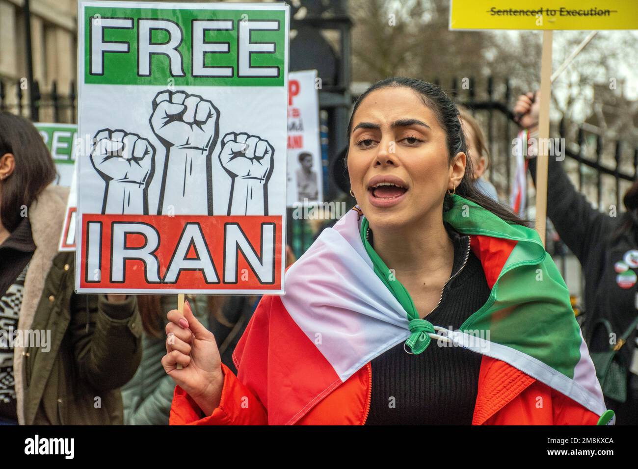 Anti iran regime hi-res stock photography and images - Alamy