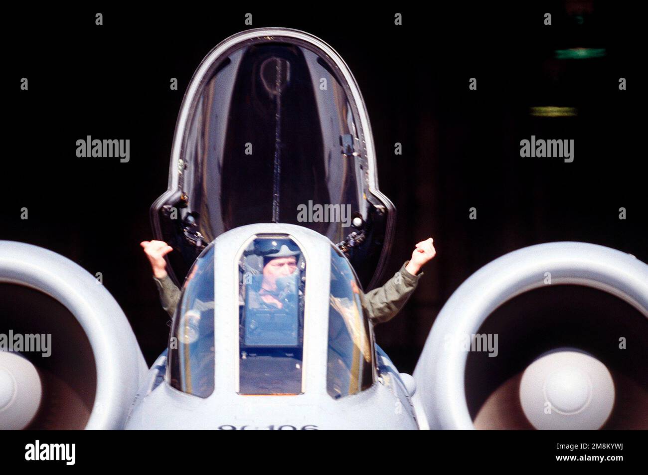 Lieutenant Colonel Charles Buck, A-10 Thunderbolt II aircraft pilot for ...