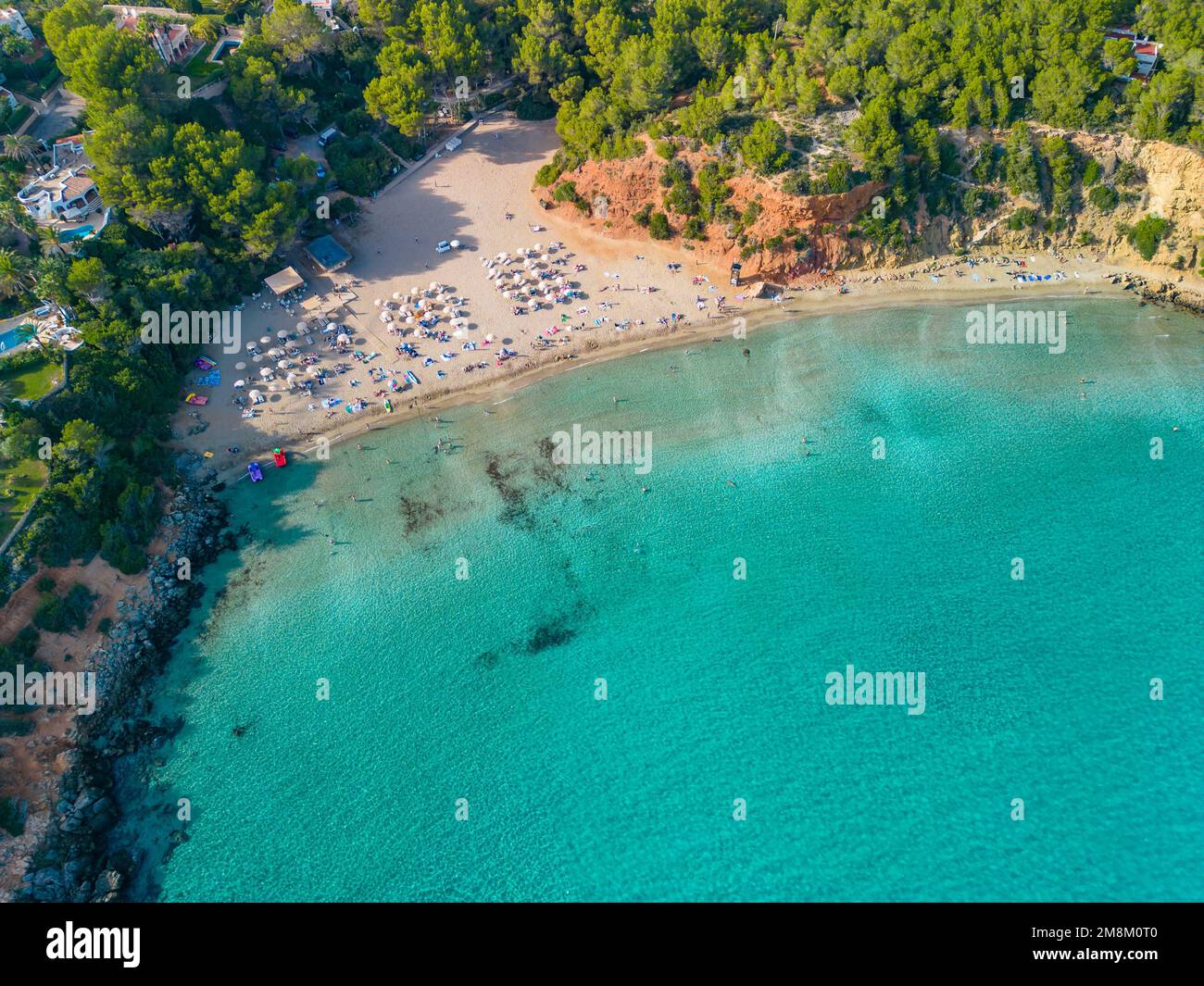Cala Llenya in Ibiza with turquoise water in Balearic Stock Photo - Alamy
