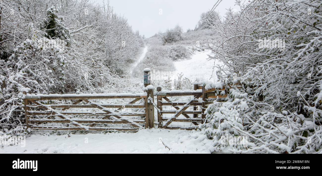 Snowy South Downs landscape, winter, Southern England Stock Photo - Alamy