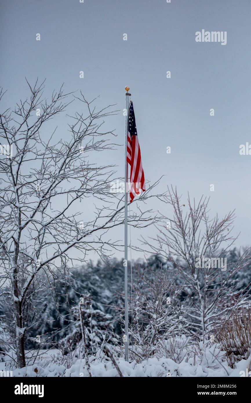 USA flag in a snow covered forest, vertical Stock Photo - Alamy