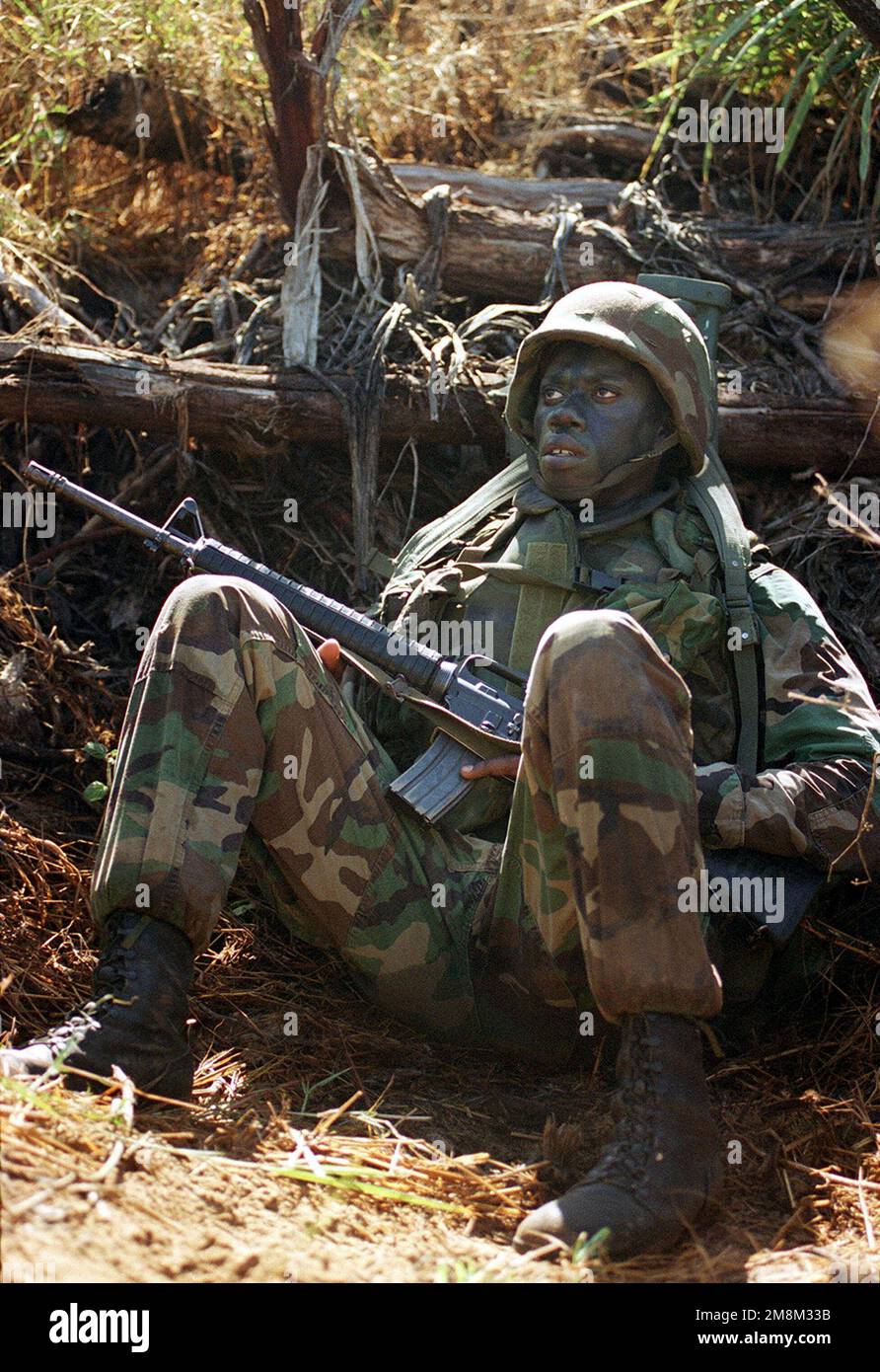 US Marine Corps Lance Corporal (LCPL) Erik Chism holding a 5.56 mm ...