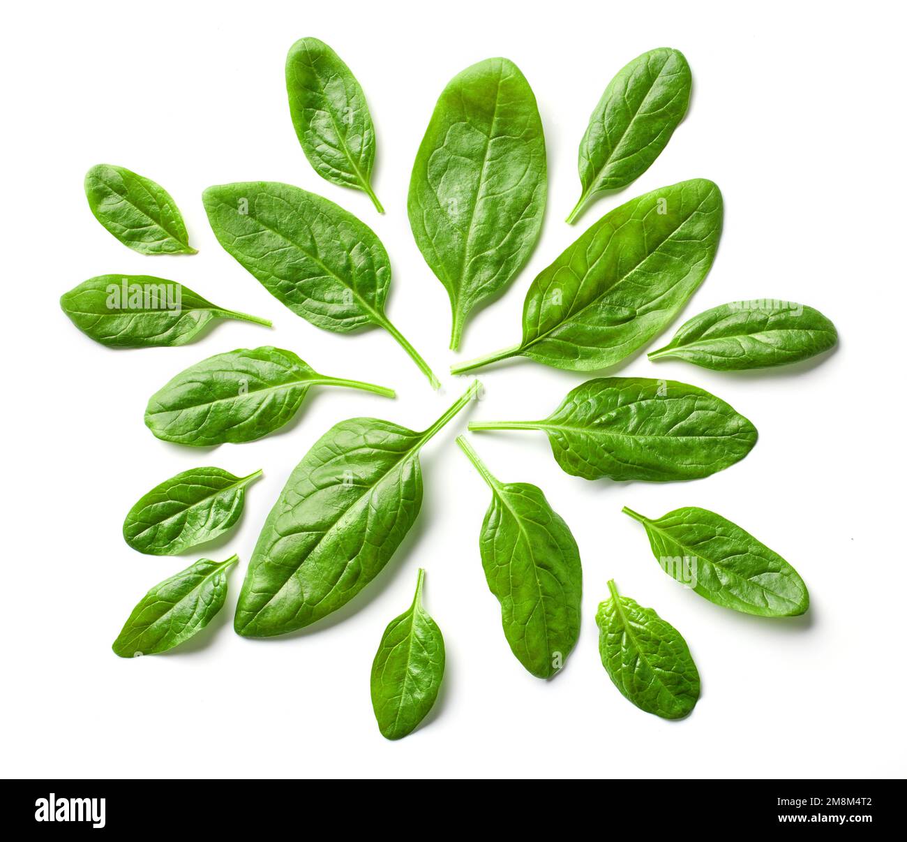 composition of green spinach leaves isolated on white background, top ...