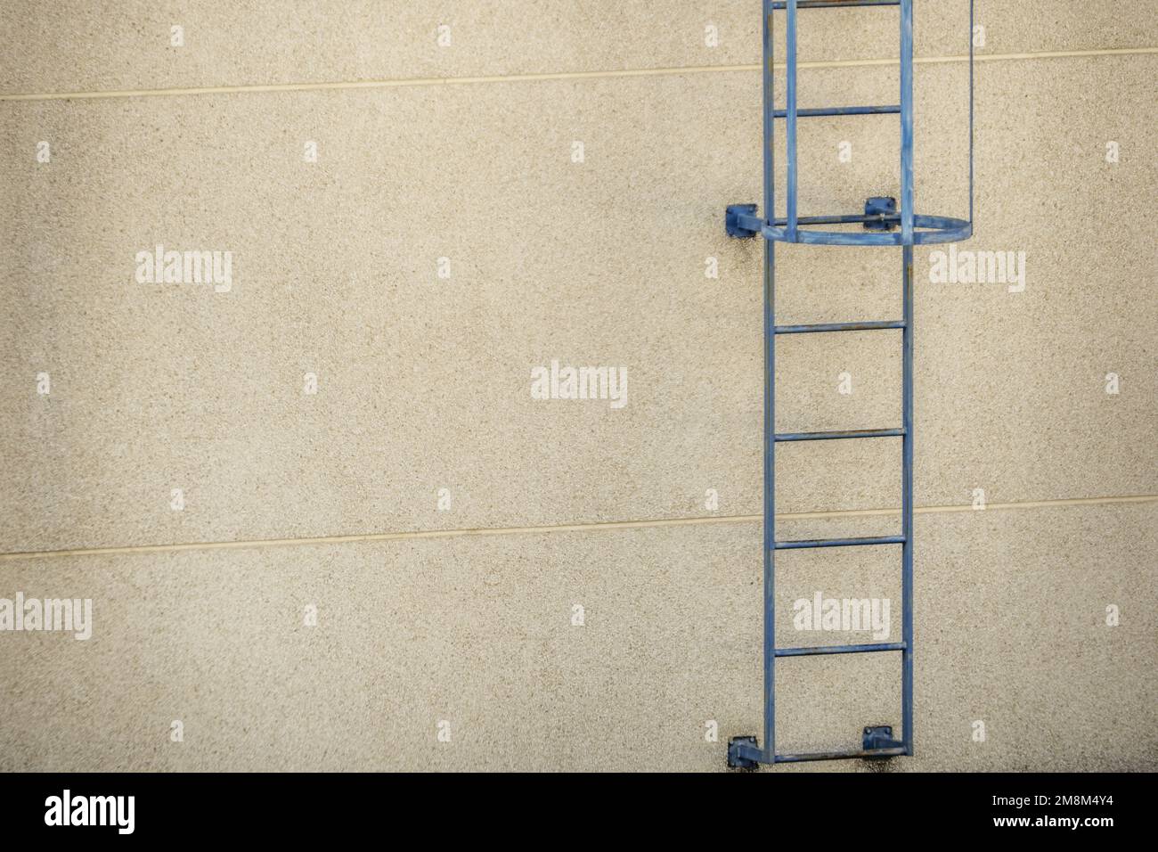 blue metal service ladder on a roof top rooftop Stock Photo - Alamy