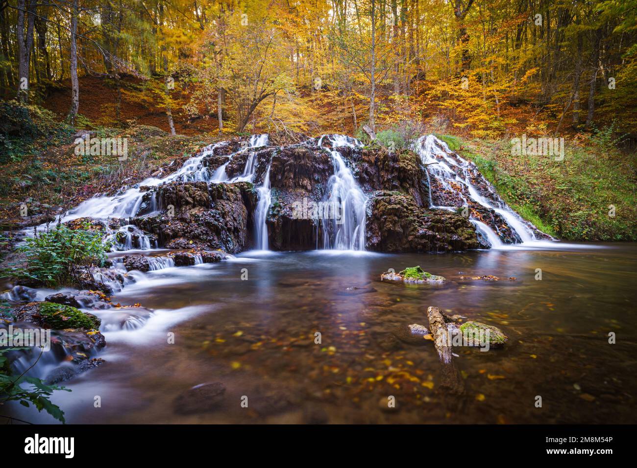 A waterfall dropping from a forest to a river with autumn trees in the ...