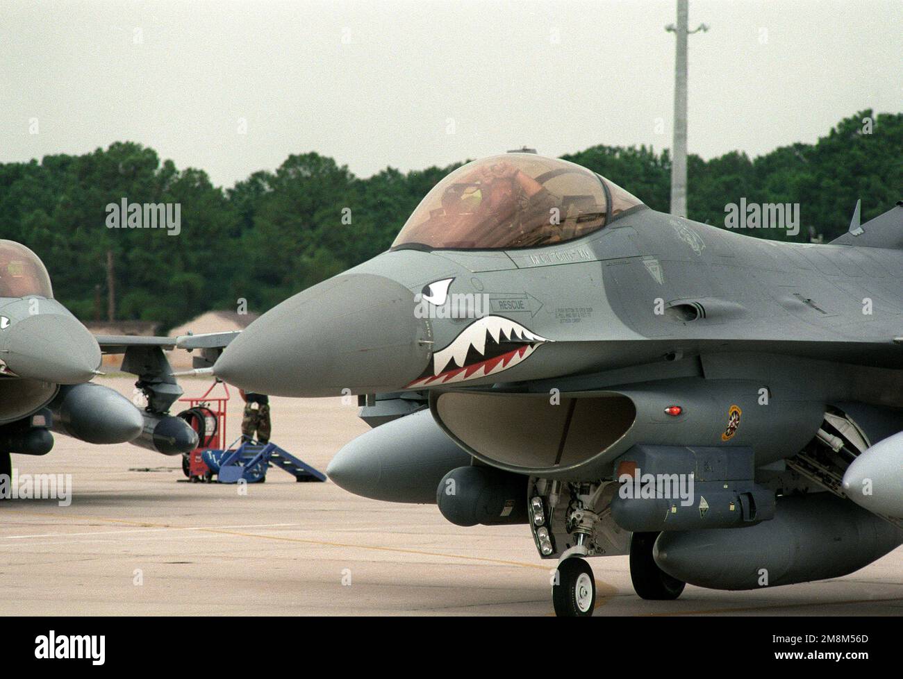 Lieutenant Colonel Mike Ely, the former 74th Fighter Squadron commander ...