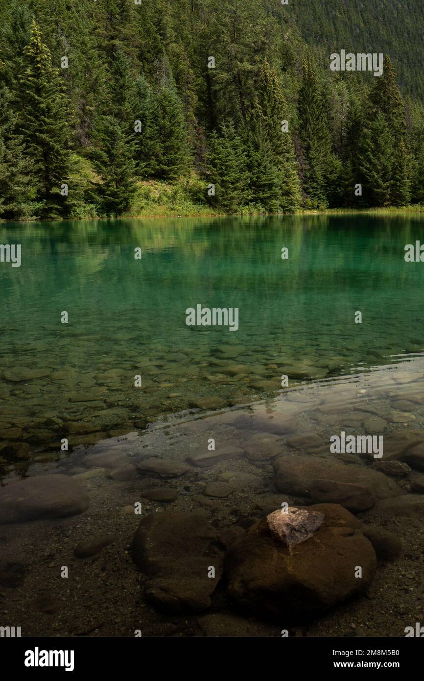 A vertical shot of the green Lake with trees in the valley of the five ...