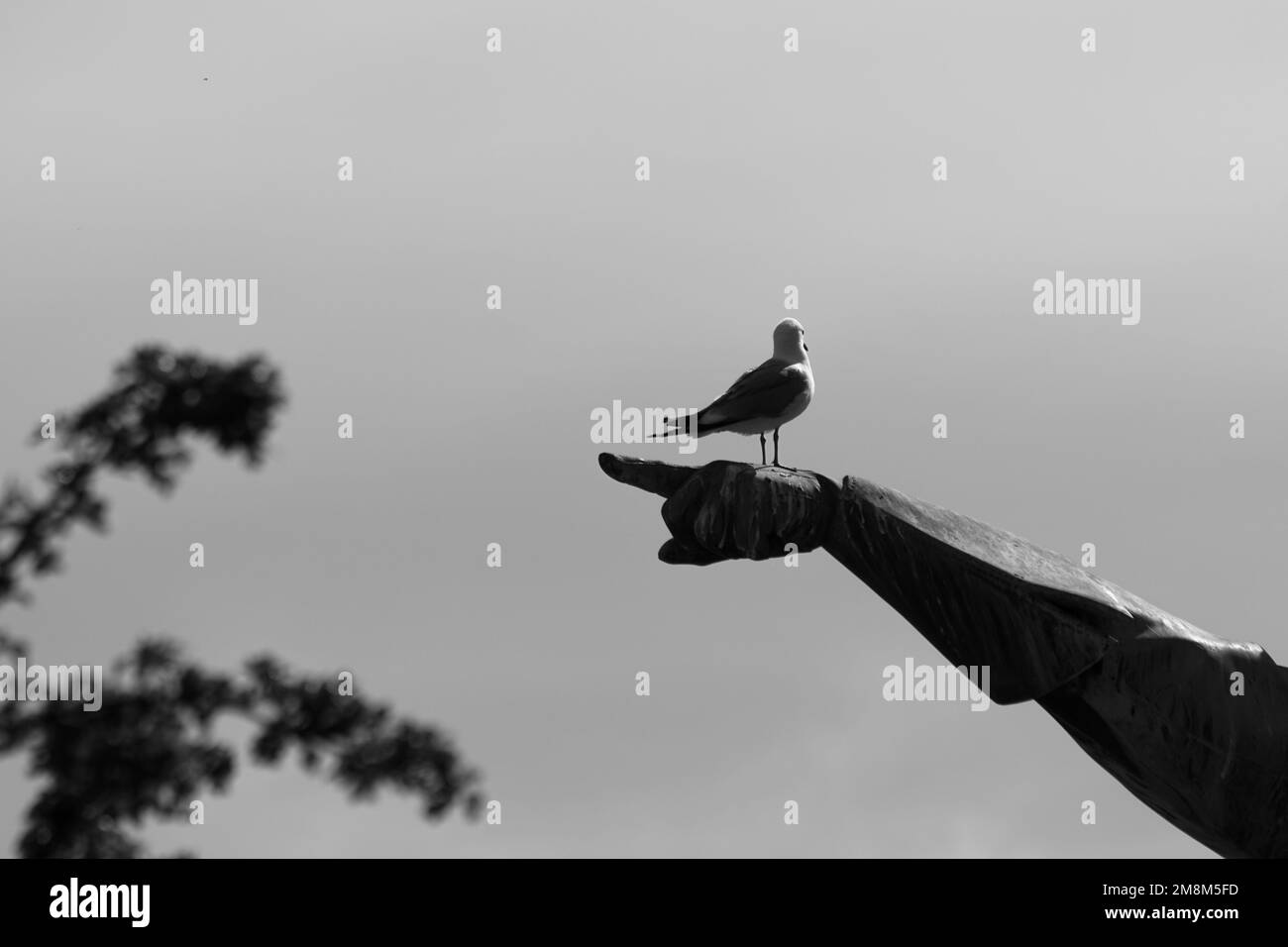 Low part Black and White Stock Photos & Images - Alamy