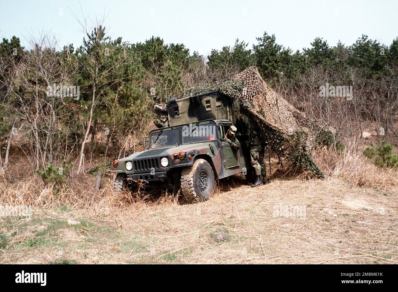Members of the 8th Security Police Squadron pull camouflage netting ...