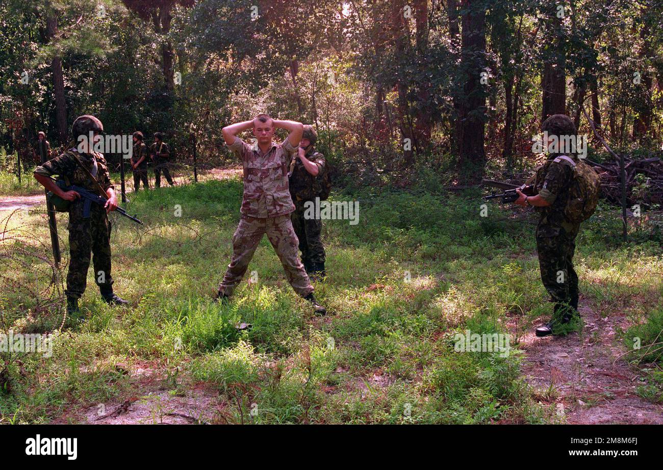 Ukrainian Marines practice what they learned during classes on weapons ...