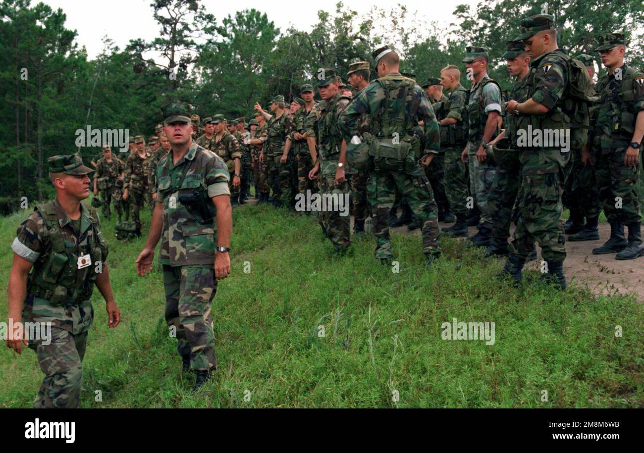 US Marines and Foreign Military Soldiers standby for the live fire ...