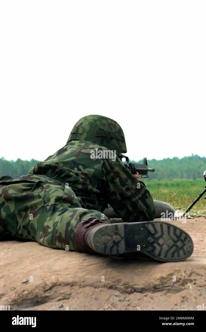 A view looking down range from behind a Polish Army Soldier as he fires ...