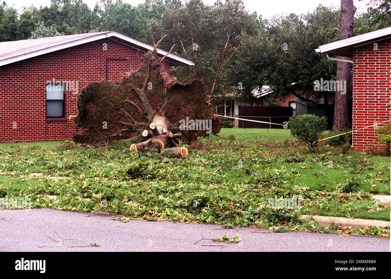 Clean-up of a downed tree in the yard at 4 Commando Street in the ...
