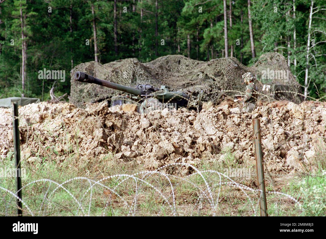 Against the backdrop of a forest, a 155mm Howitzer under camouflage ...