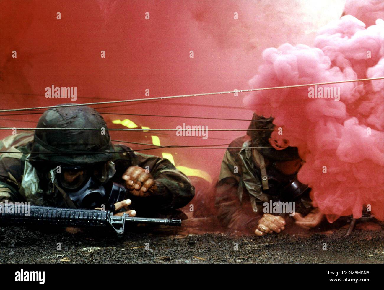 Specialists honorable hi-res stock photography and images - Alamy