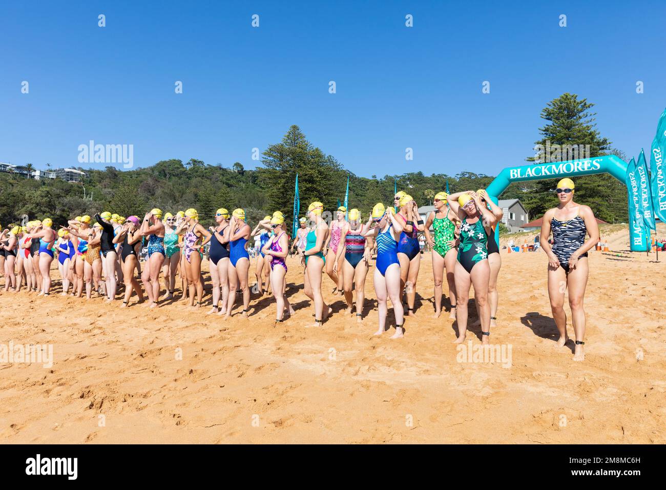 Bilgola Beach Ocean swim, women ladies 500m race, women line up for the start of the race ...