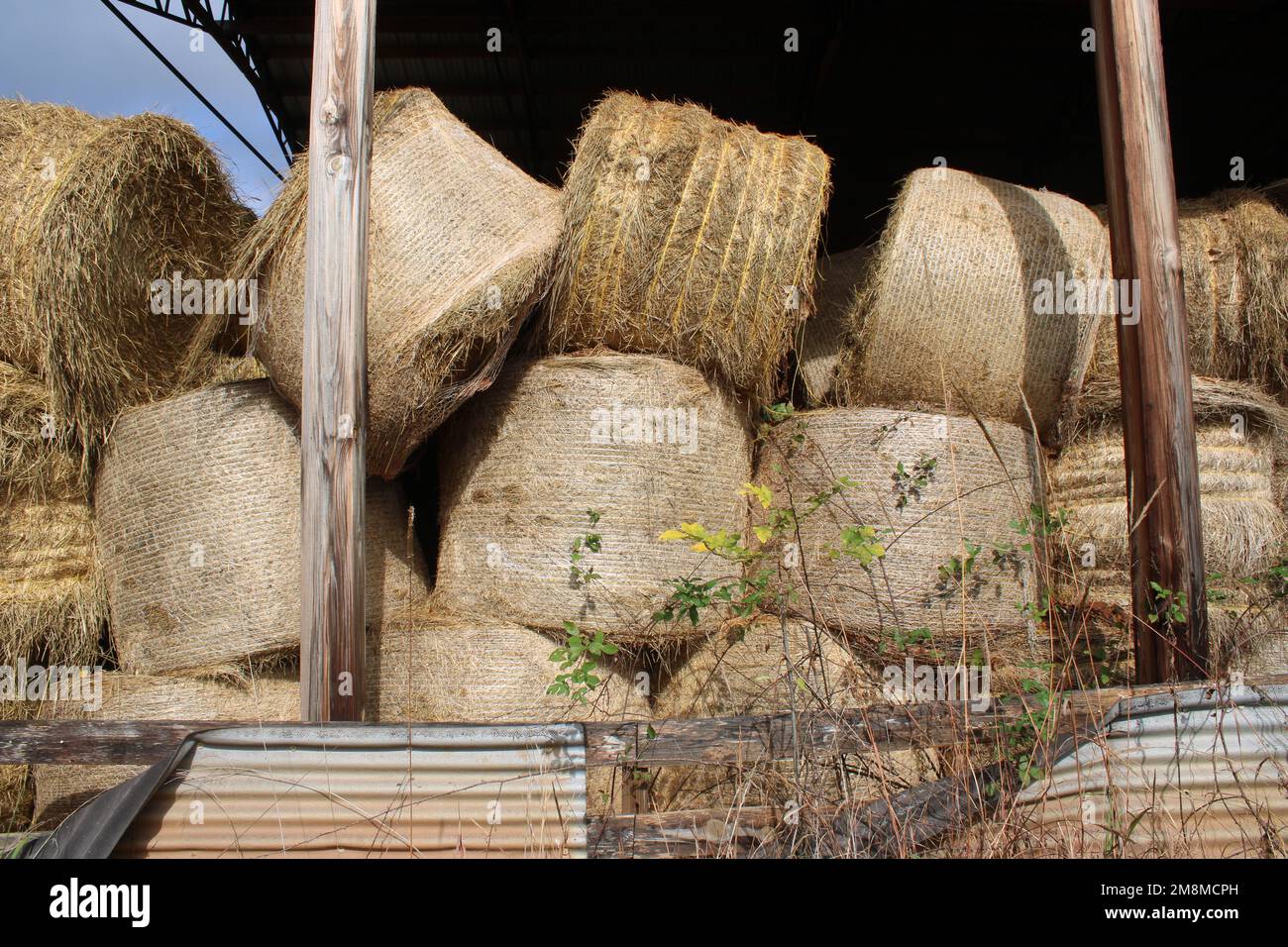 Stacked bales of hay on farm Stock Photo - Alamy