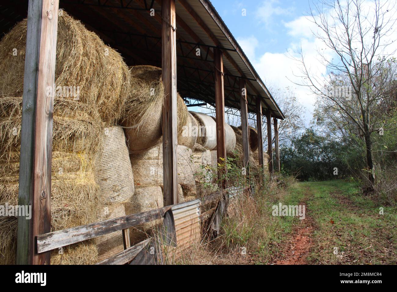 Stacked bales of hay on farm Stock Photo - Alamy