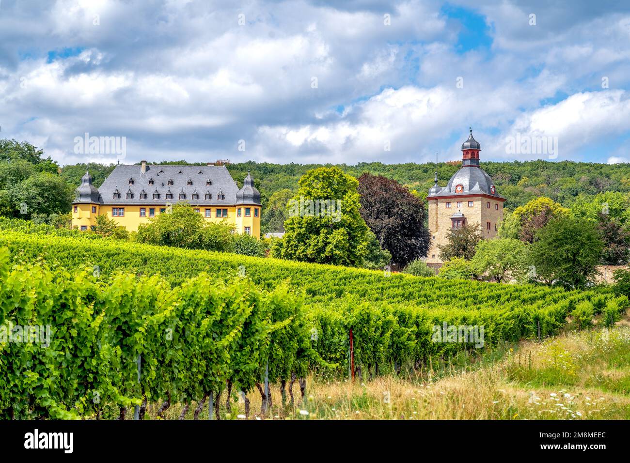Castle Vollrads, Geisenheim, Germany Stock Photo - Alamy