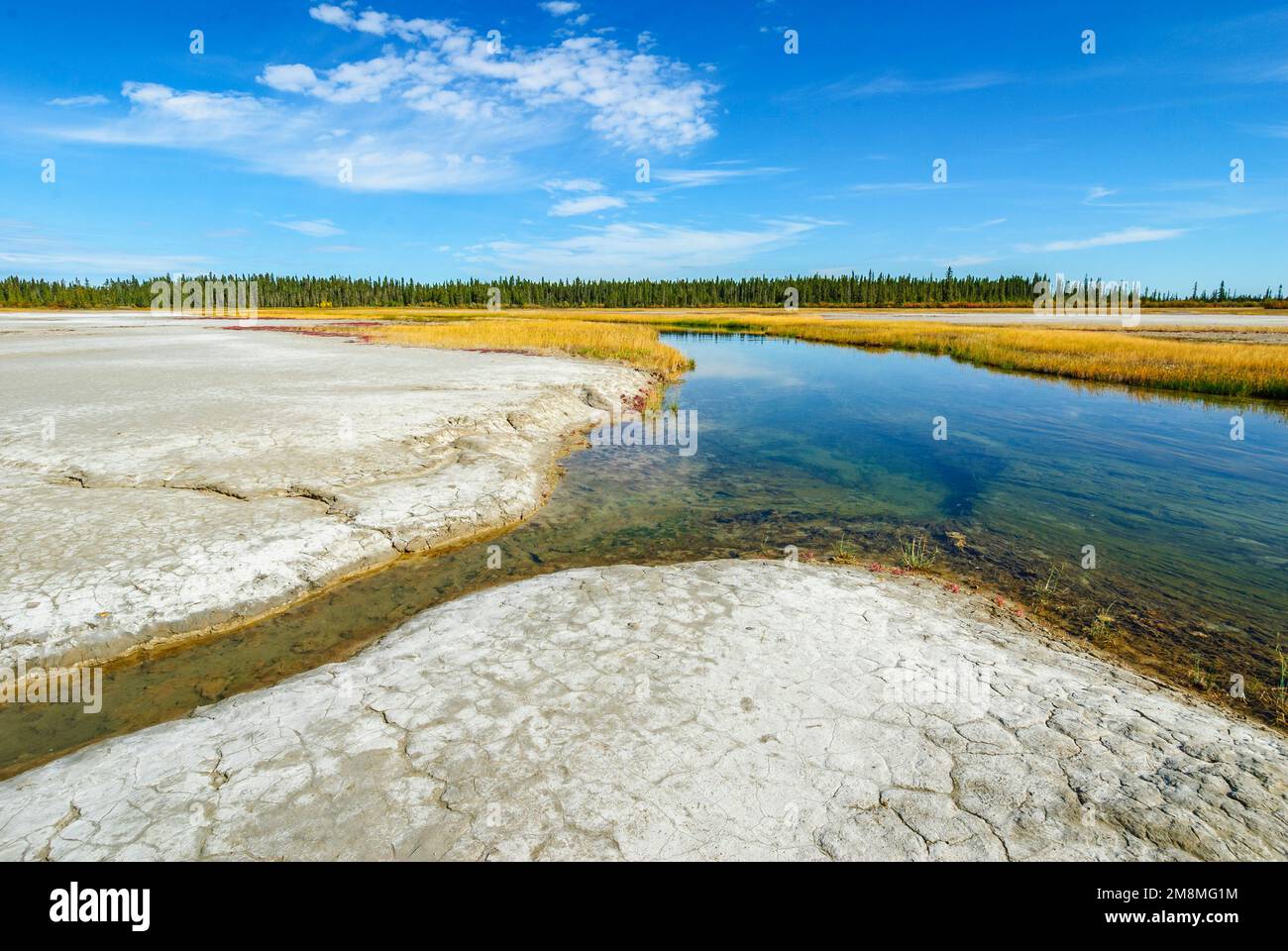 A stream of brine from a mineral spring flows past salty mud flats ...