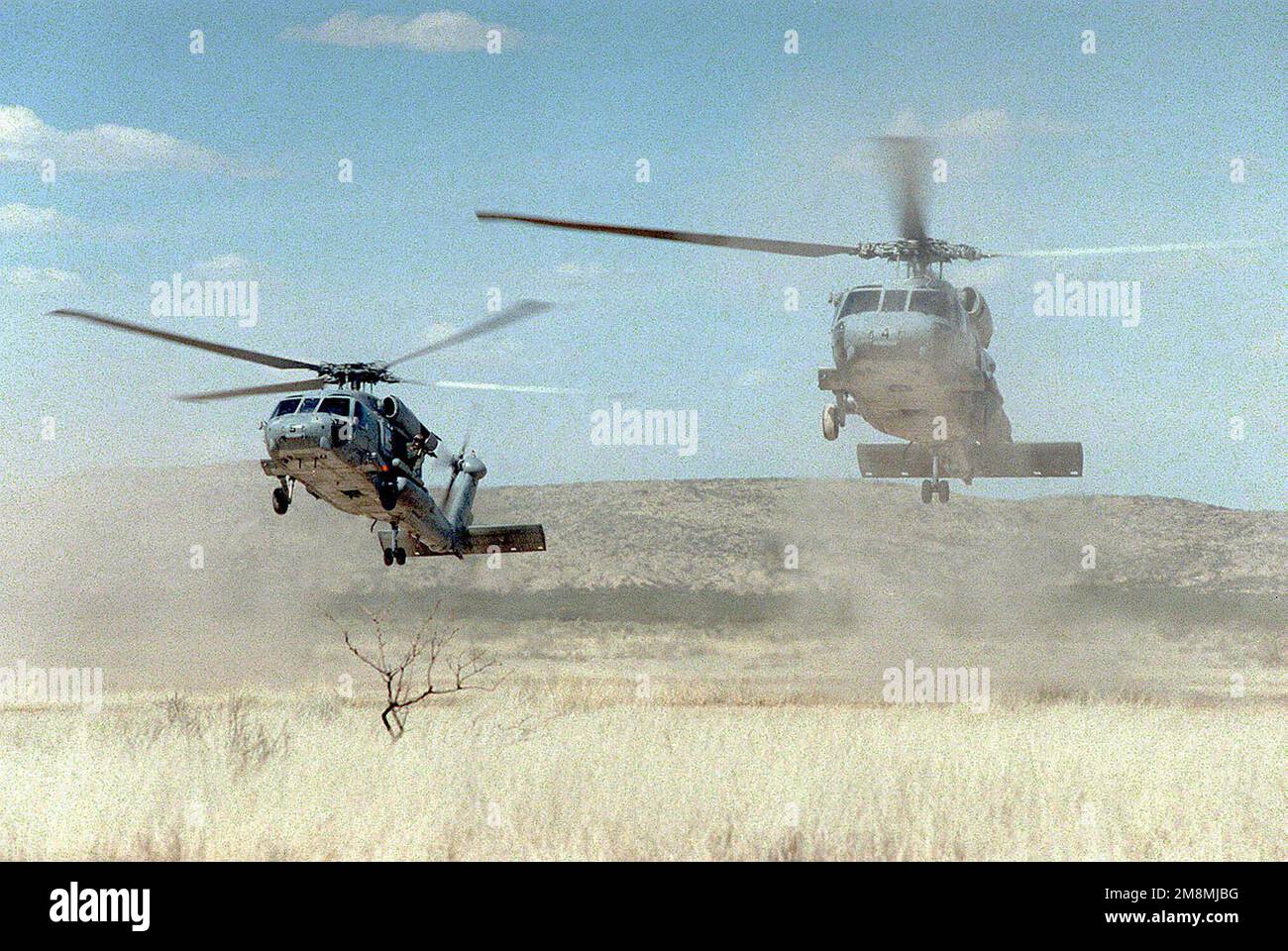 Two Navy SH-60 Black Hawk (Blackhawk) helicopters, from the Helicopter ...
