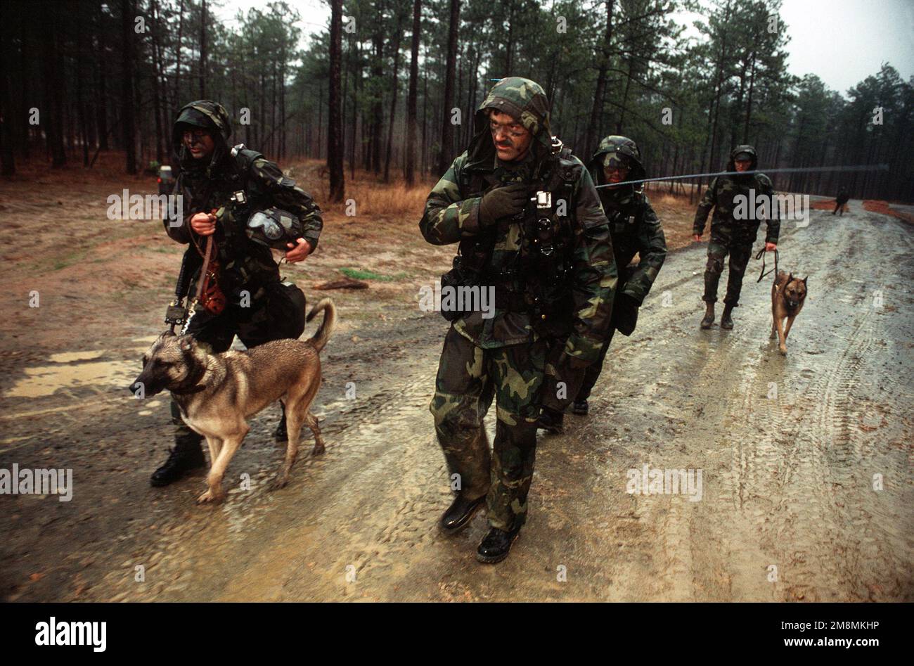Security police K-9 units from the 314th Airlift Wing, Little Rock Air ...
