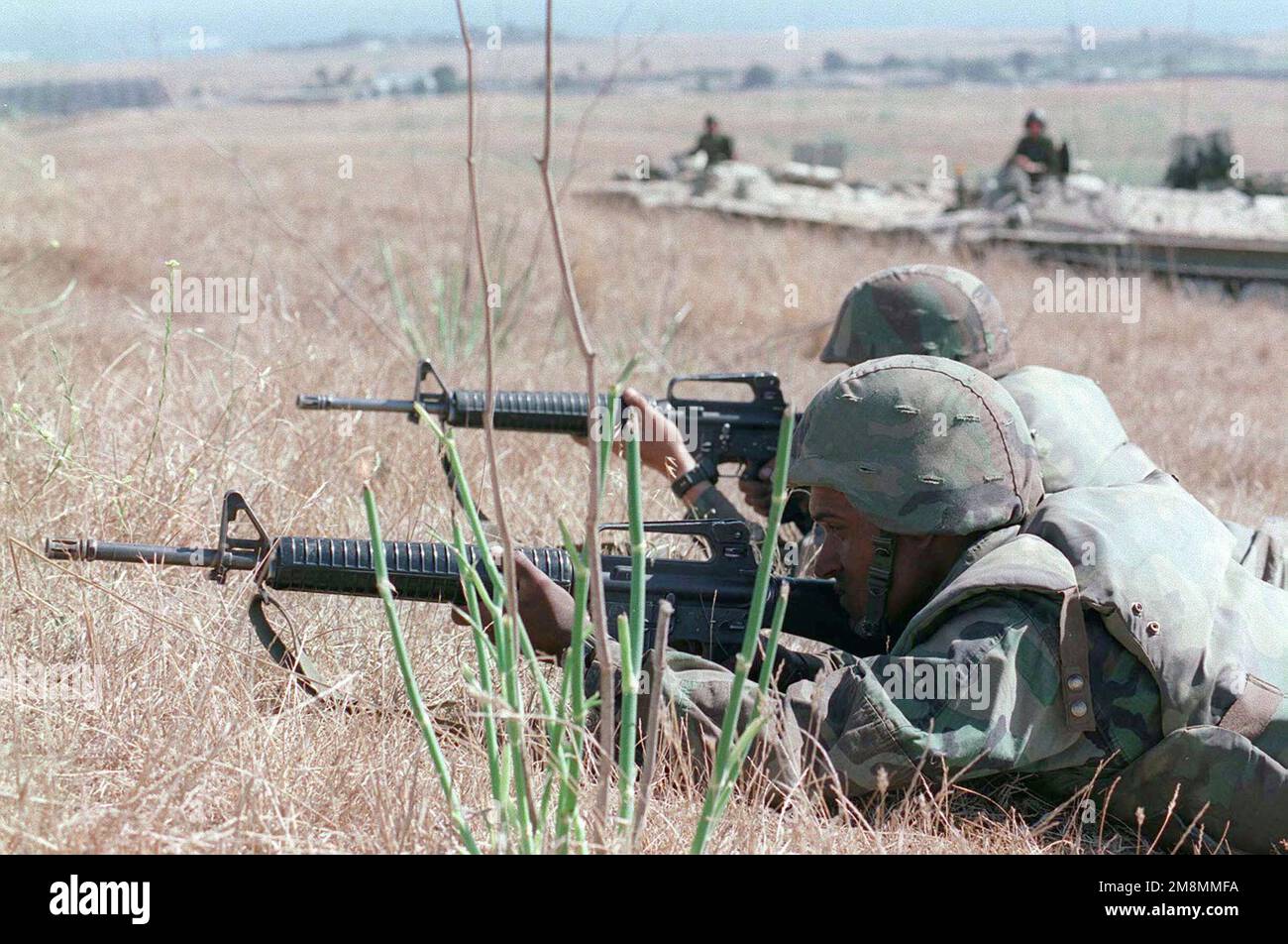 U.S. Marine infantrymen with Opposing Forces (OPFOR)from Weapons ...