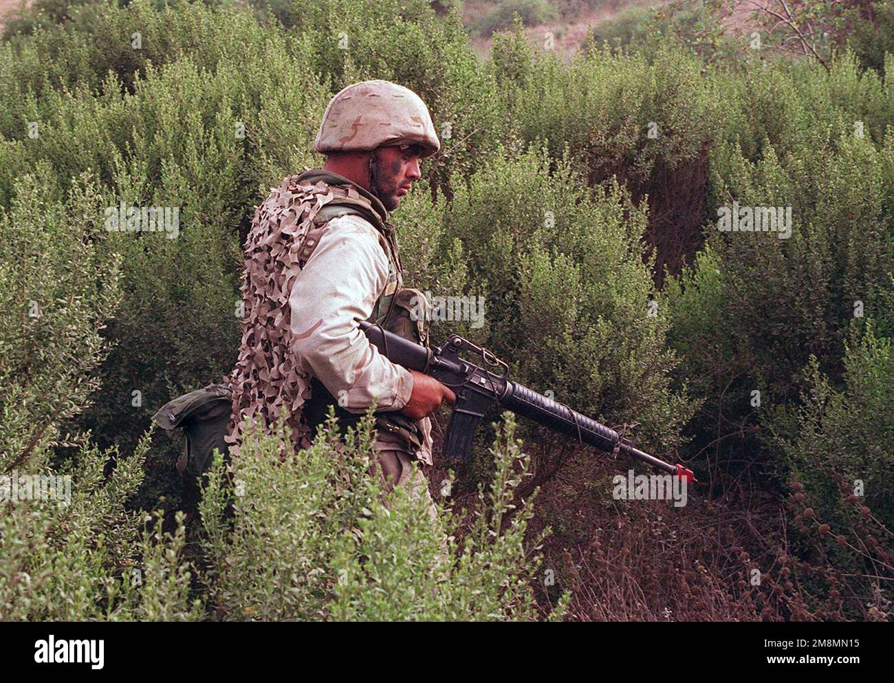 A Marine from 3rd Battalion, 5th Regiment, 1ST Marine Division, armed ...