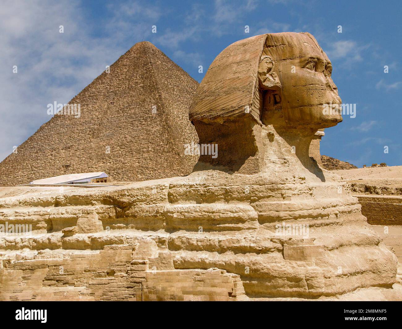 Sculpture of the Great Sphinx against the blue sky. Profile view. The ...