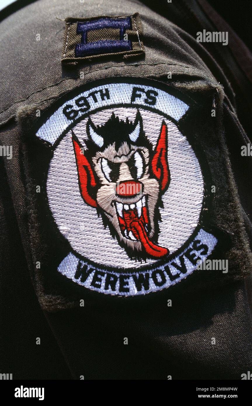A close-up view of a shoulder wearing the patch for the 69th Fighter ...