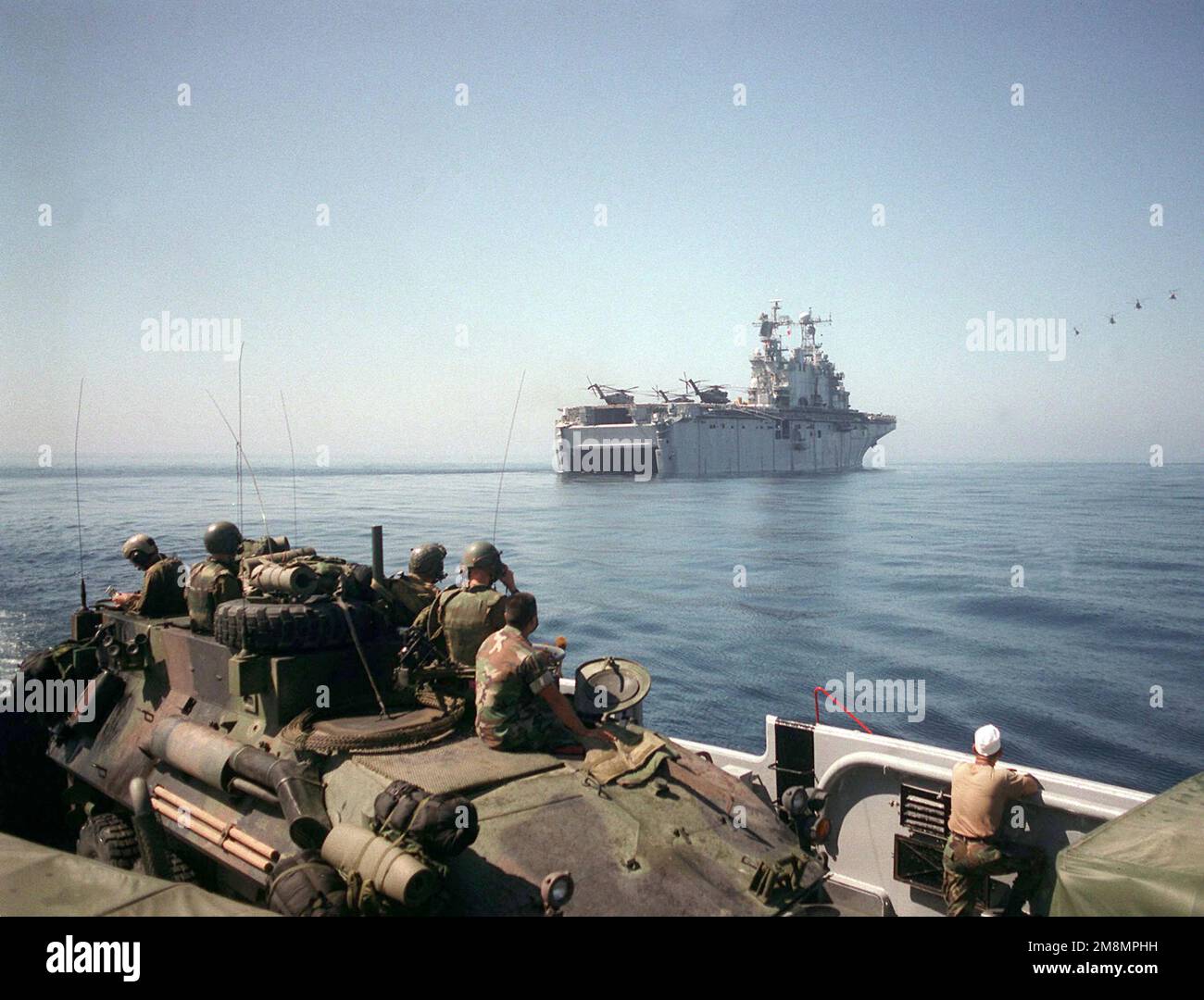 Marines from the 4th Light Armored Reconnaissance (LAR) Battalion ...