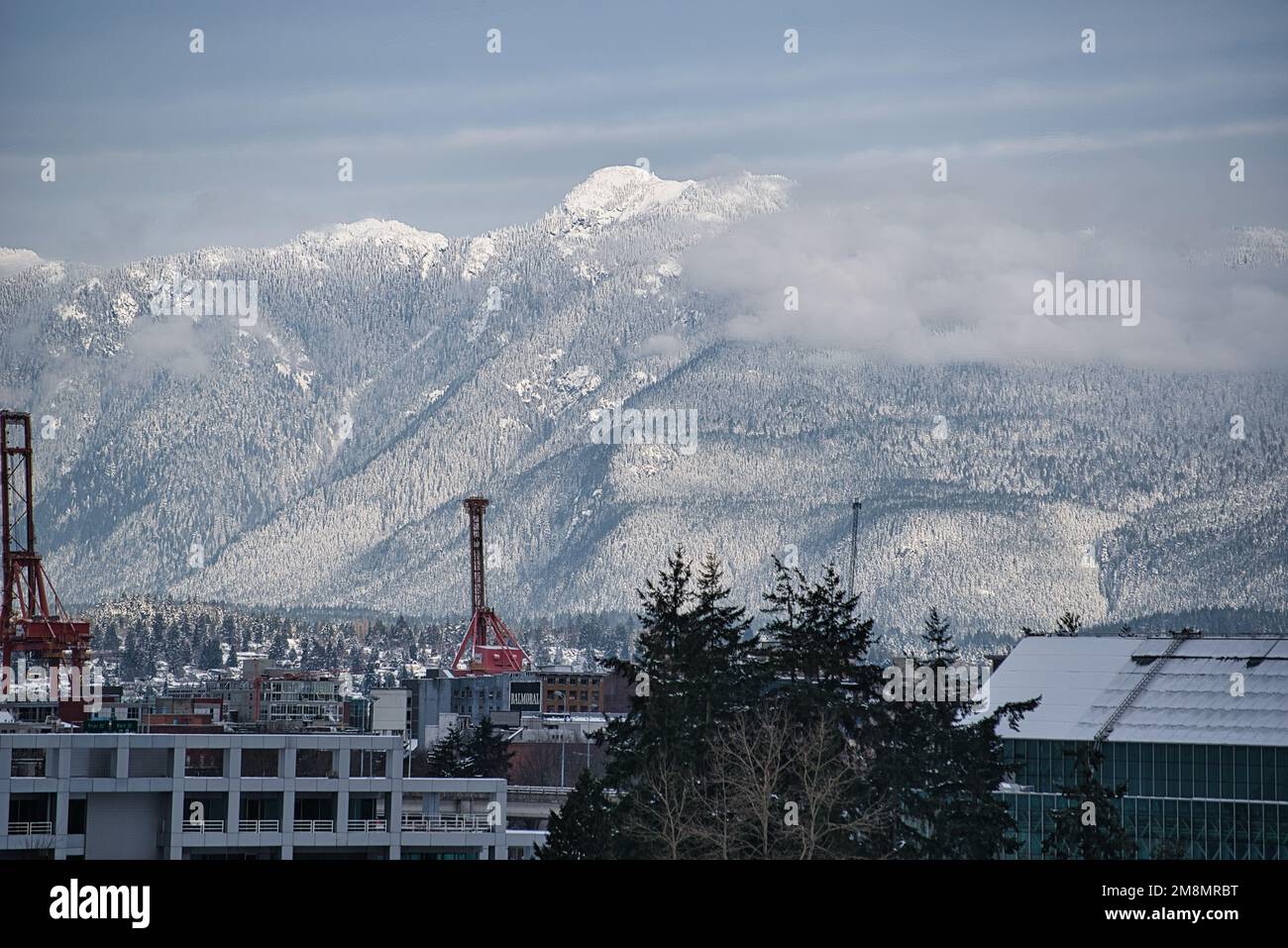 Vancouver in the snow Stock Photo - Alamy
