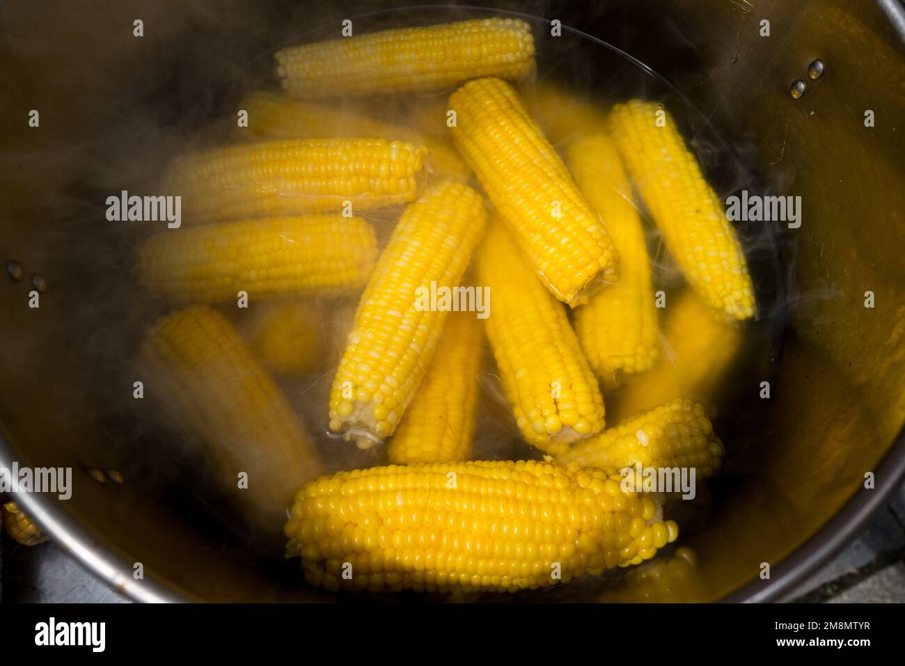 Boil the corn Stock Photo - Alamy