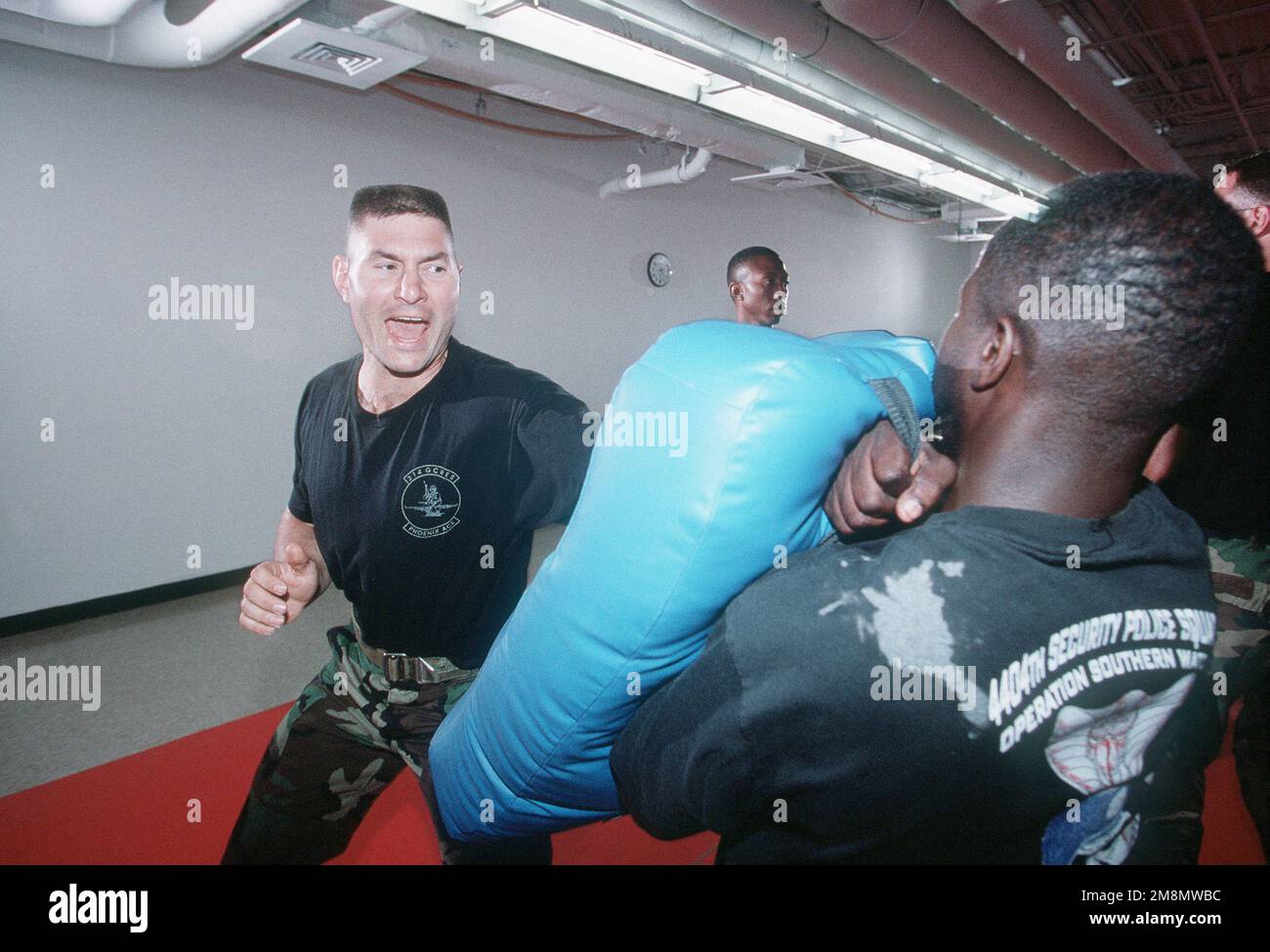 Phoenix raven hi-res stock photography and images - Alamy