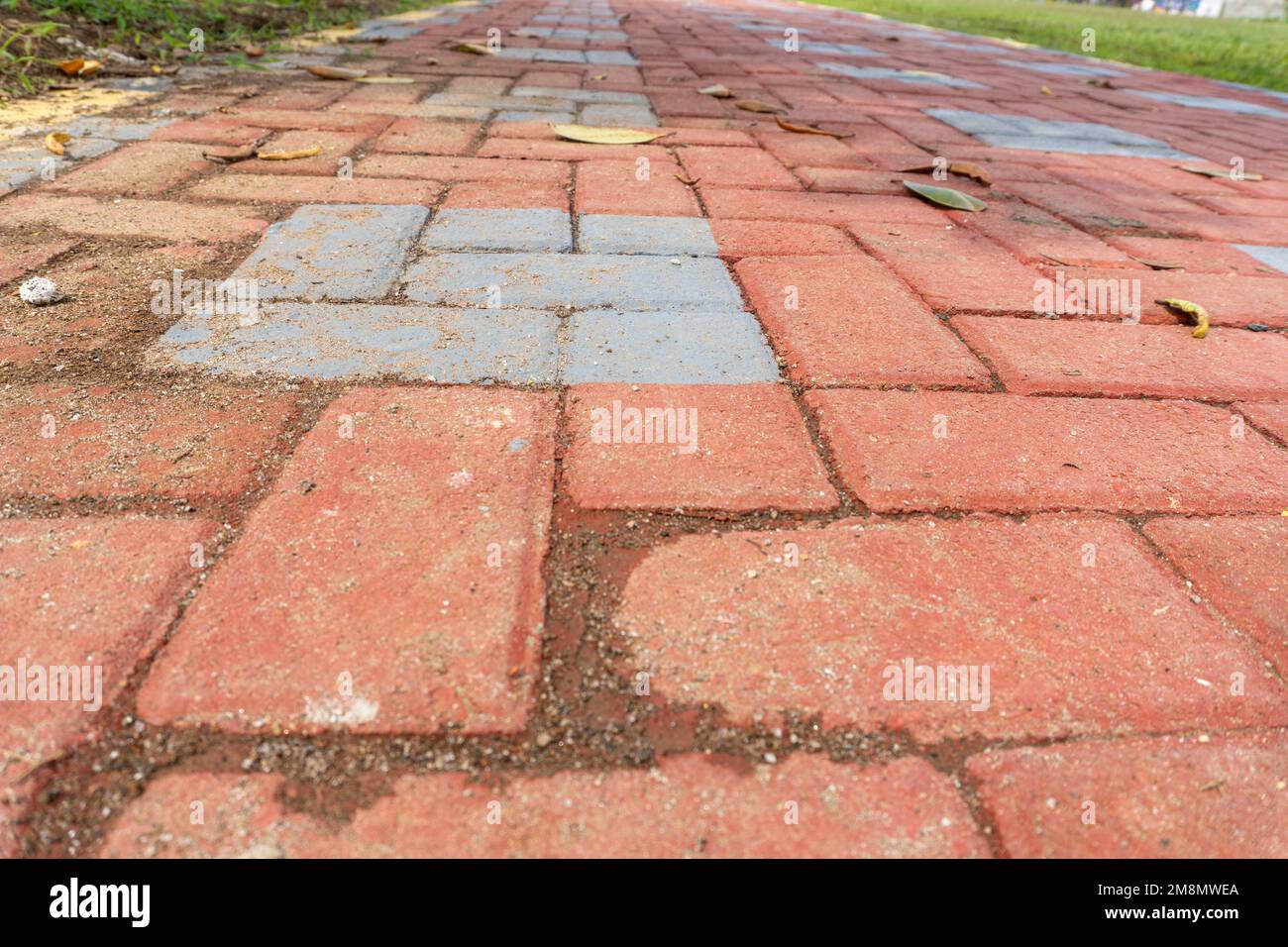 Orange colored paving block bricks path in the park close up Stock ...