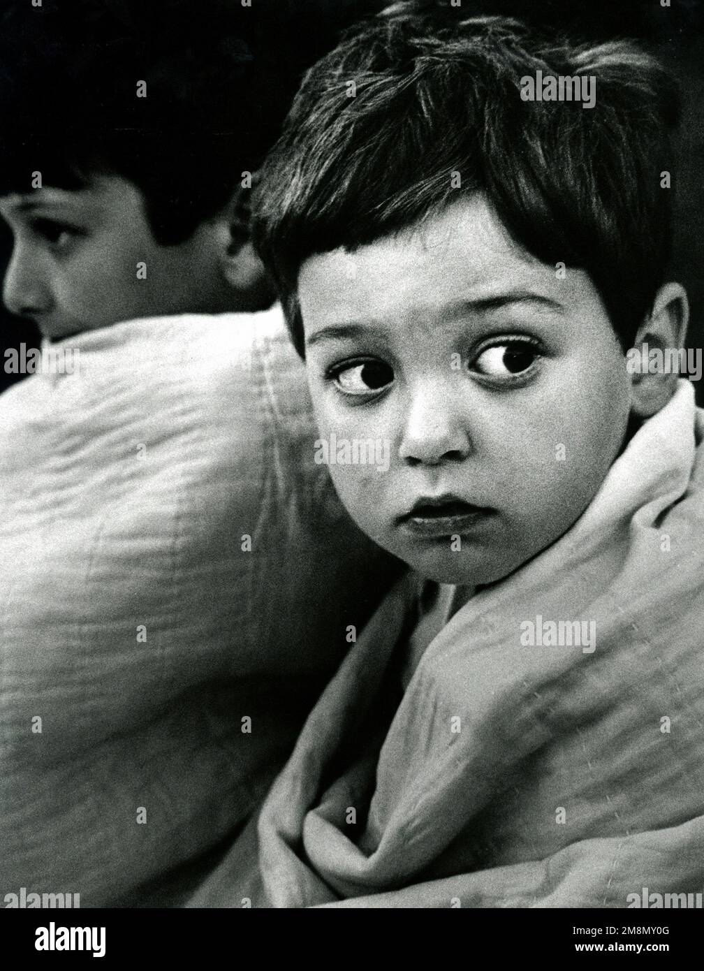 Robert Horstman's Instagram, Twitter & Facebook on IDCrawl