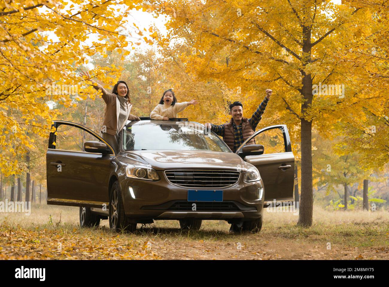 Happy three road trip Stock Photo - Alamy