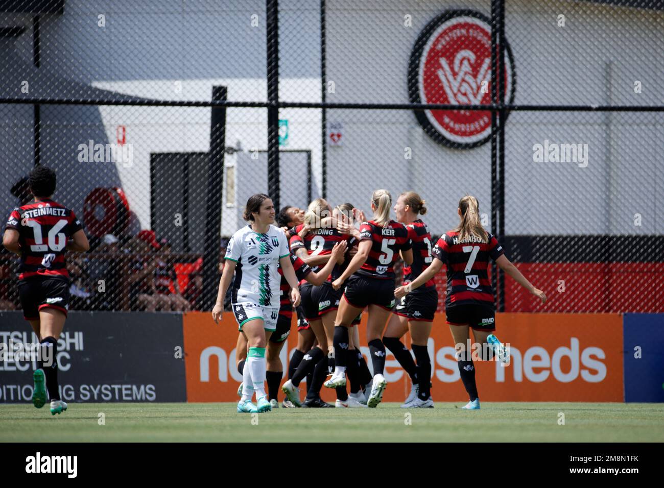 Sydney, Australia. 14th Jan, 2023. The Wanderers celebrate a goal ...