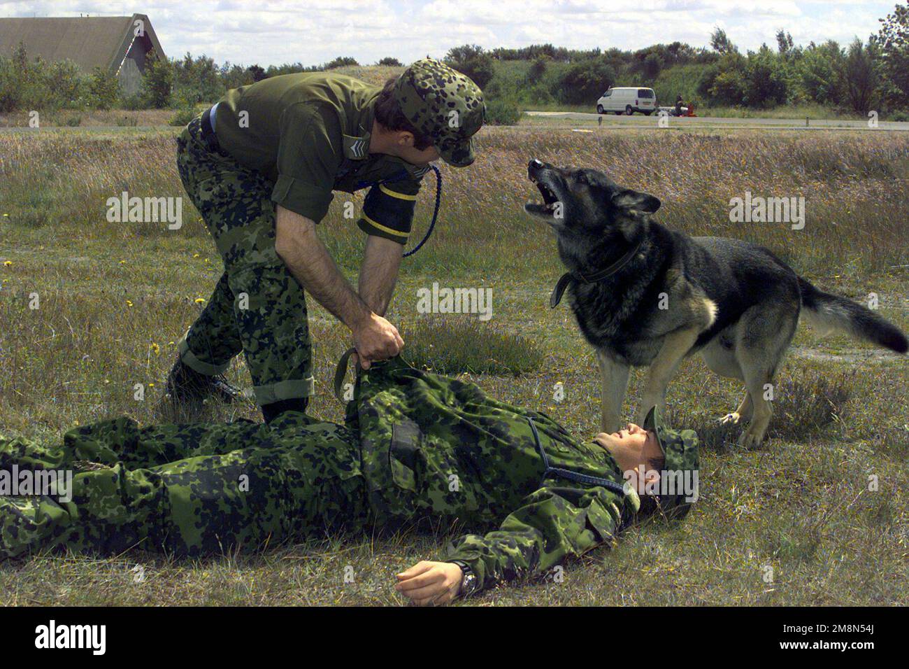 Members of the Danish Guard Dog team training. These canine teams of ...
