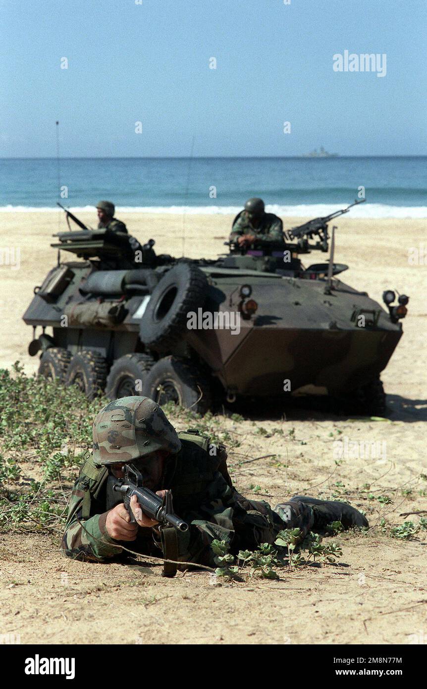 US Marine Corps PFC Martin Vazquez, a member of 1ST Light Armored ...