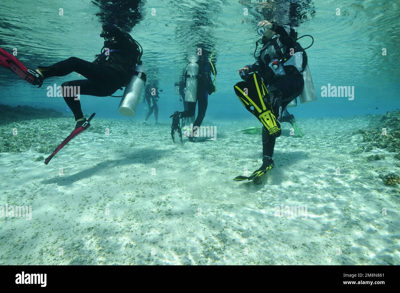 Divers finish dive in Fakarava, South Pacific, French Polynesia Stock ...