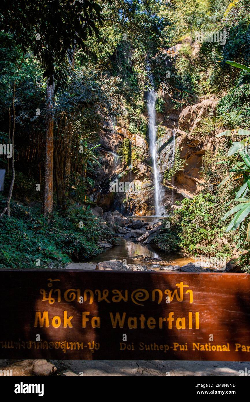 Mork Fa or Mok Fa Waterfall in Mae Taeng District, Chiang Mai, Thailand ...