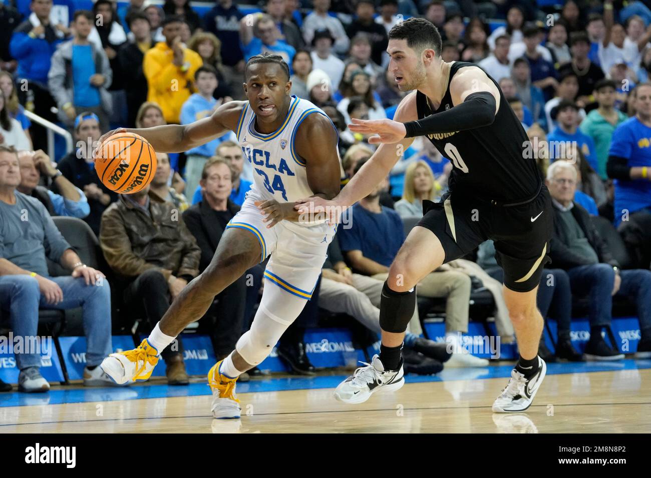 UCLA guard David Singleton (34) controls the ball against Colorado ...