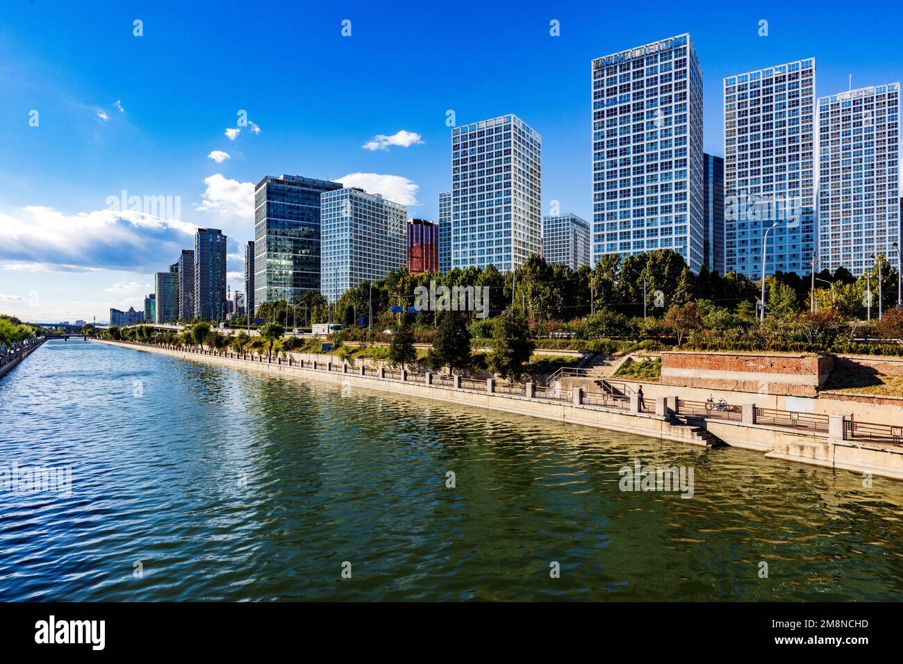 Blue tong hi-res stock photography and images - Alamy