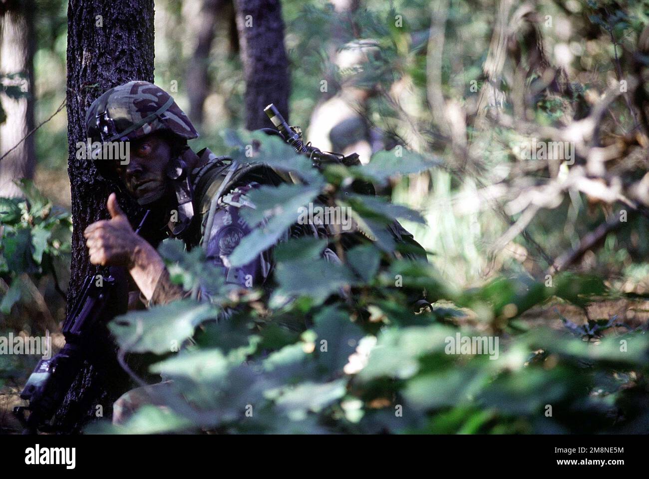 SSGT Meegan, United Nations Command Security Battalion/Joint Security ...